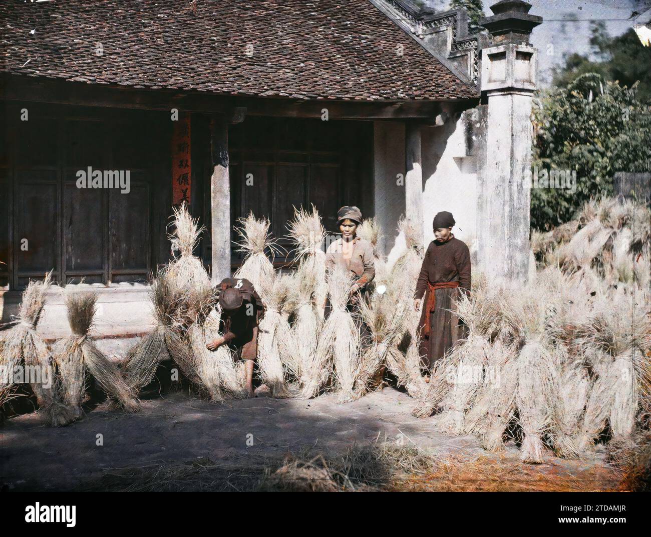 Tonkin, Indochina Rice drying, Human beings, Clothing, Economic ...