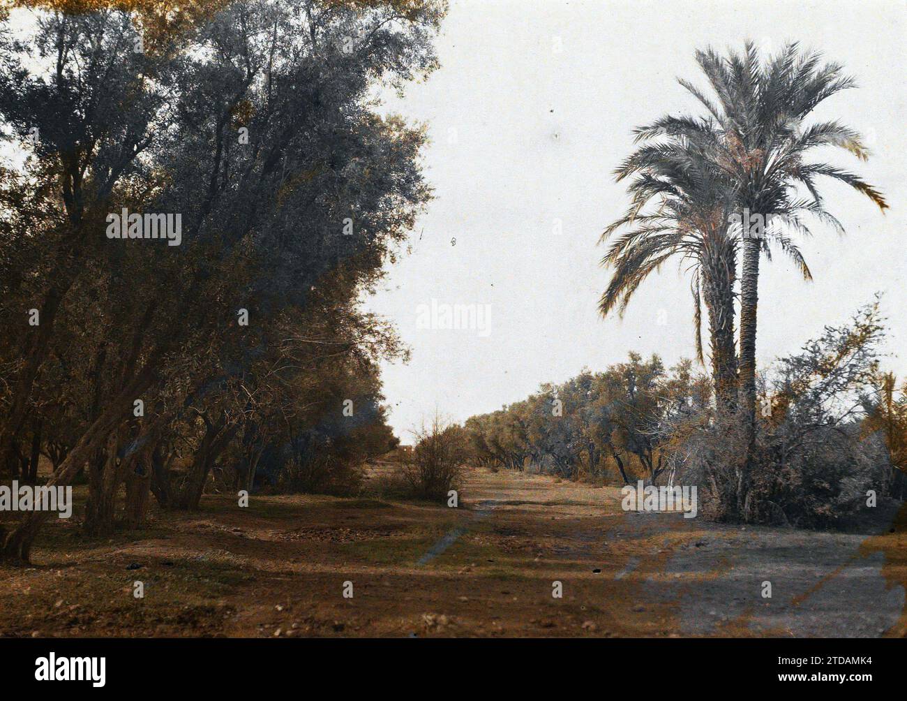 Marrakech, Morocco The gardens of Dar el Maghzen, Habitat, Architecture ...