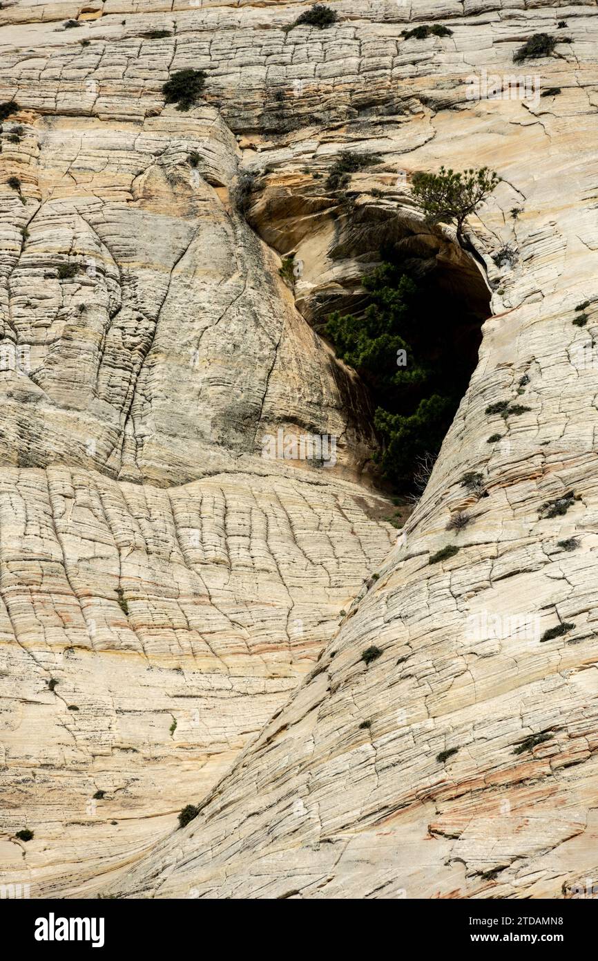 Comma Shaped Cave In Northgate Peaks in Zion Stock Photo - Alamy
