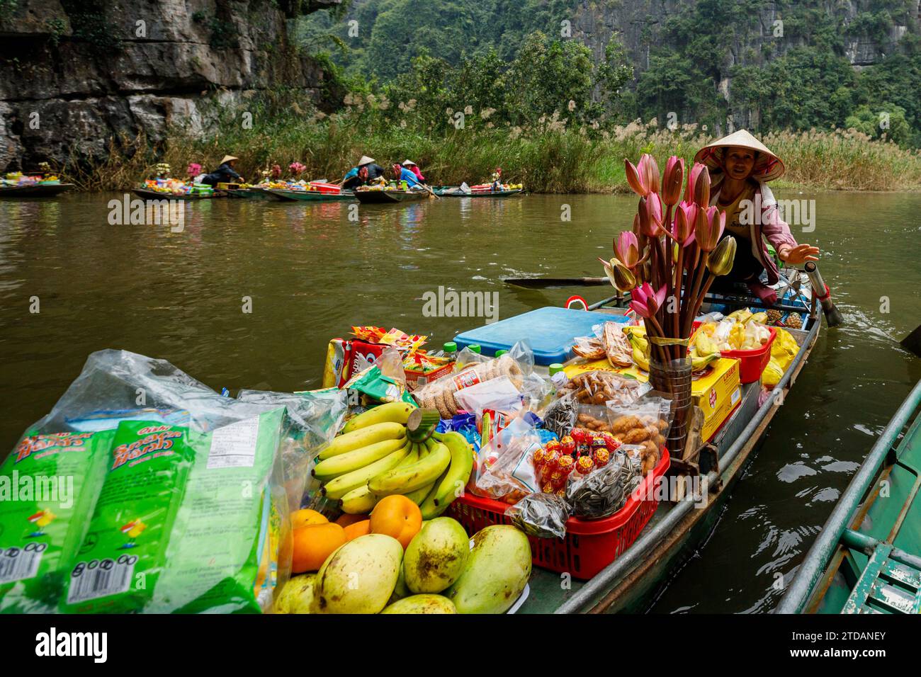 Tourist on a boat tour at Tam Coc in vietnam Stock Photo - Alamy