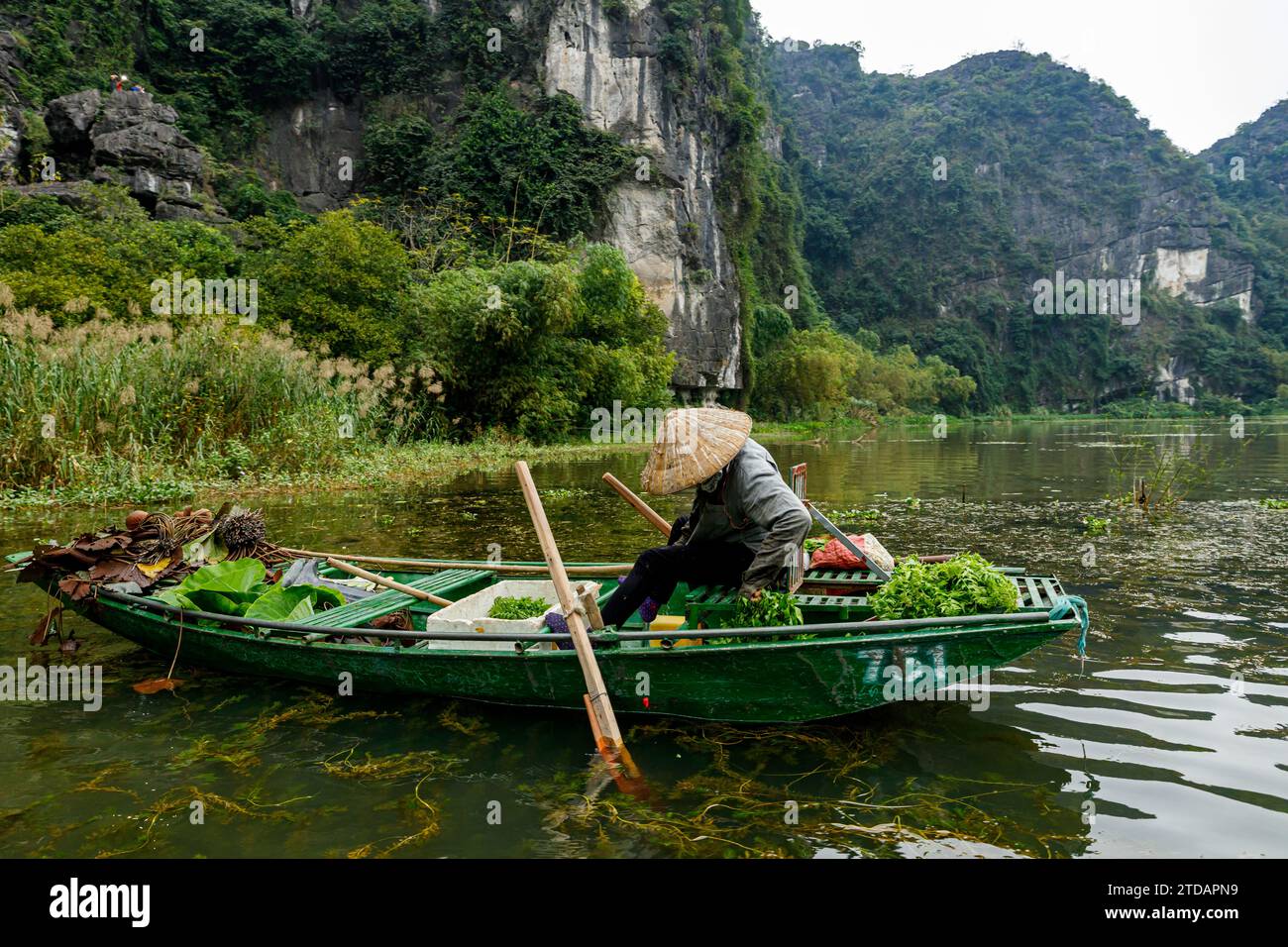 Tourist on a boat tour at Tam Coc in vietnam Stock Photo - Alamy