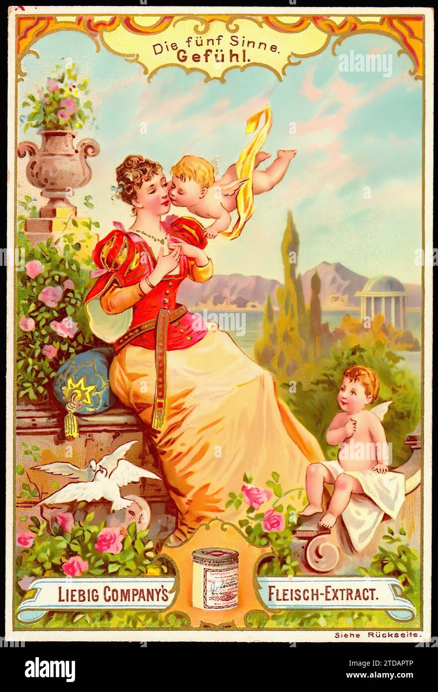Vintage Liebig Trade Card S535 The Five Senses - Touch Stock Photo - Alamy