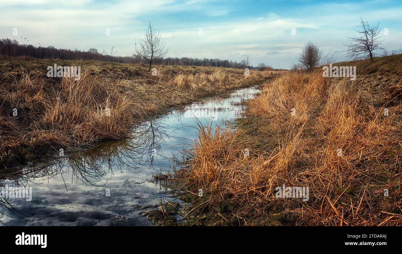 Stream with trees and grass hi-res stock photography and images - Alamy