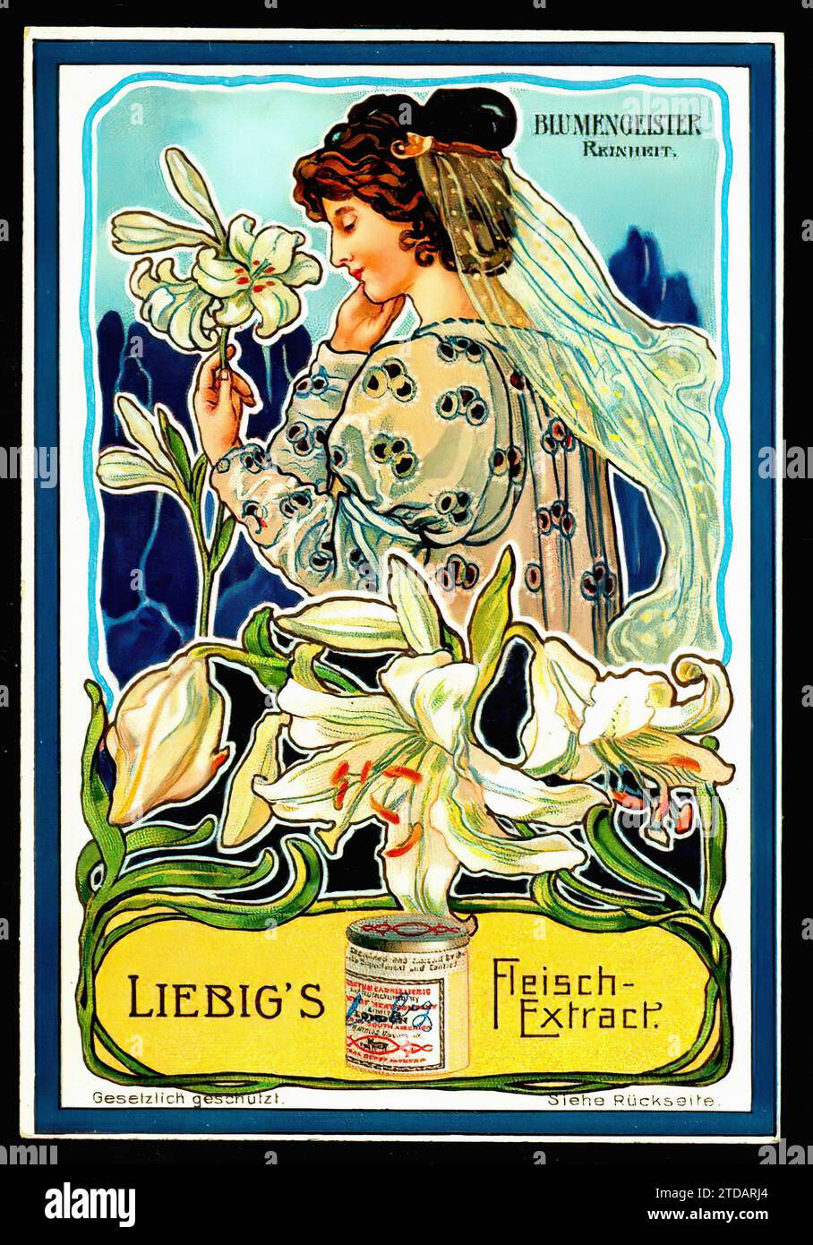 Vintage Liebig Trade Card S713 The Language of Flowers Purity Stock ...