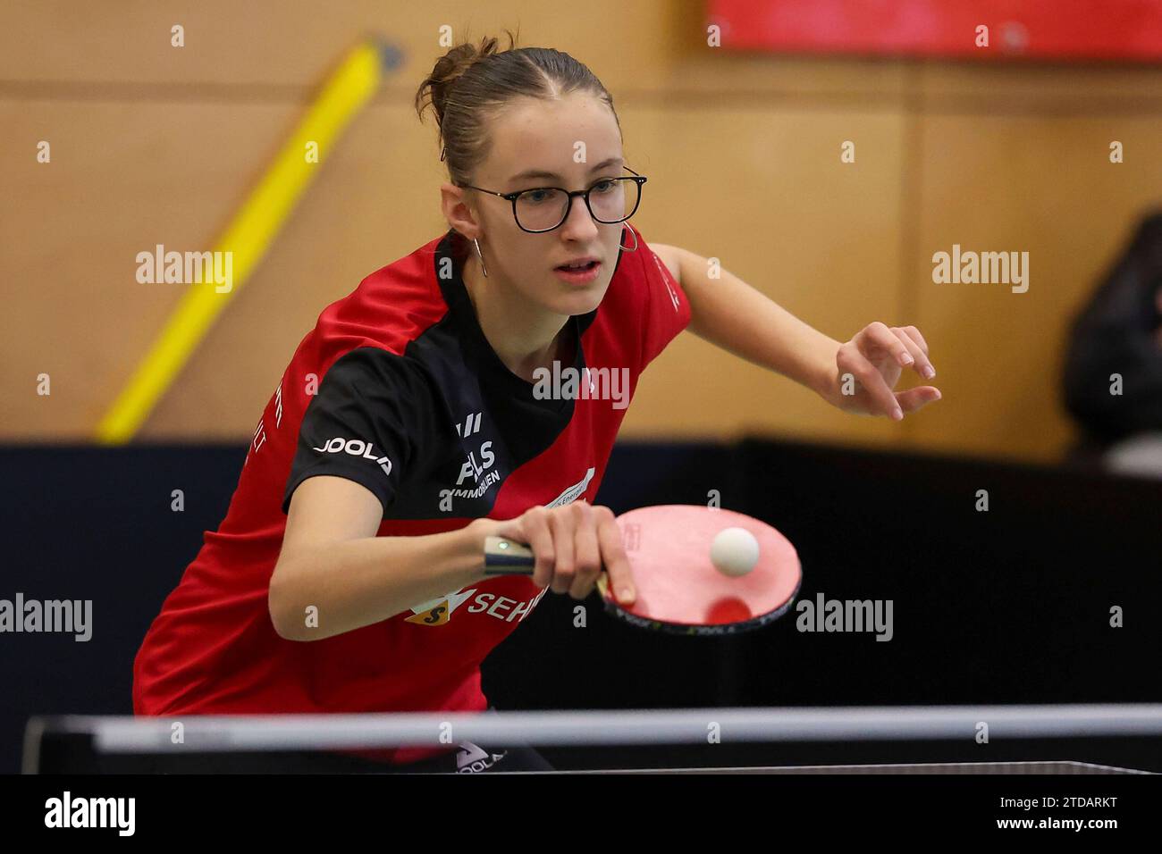 Langstadt, Deutschland. 17th Dec, 2023. Langstadt, Babenhausen 17.12. ...