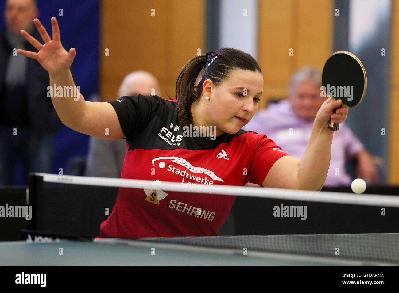 Langstadt, Deutschland. 17th Dec, 2023. Langstadt, Babenhausen 17.12. ...