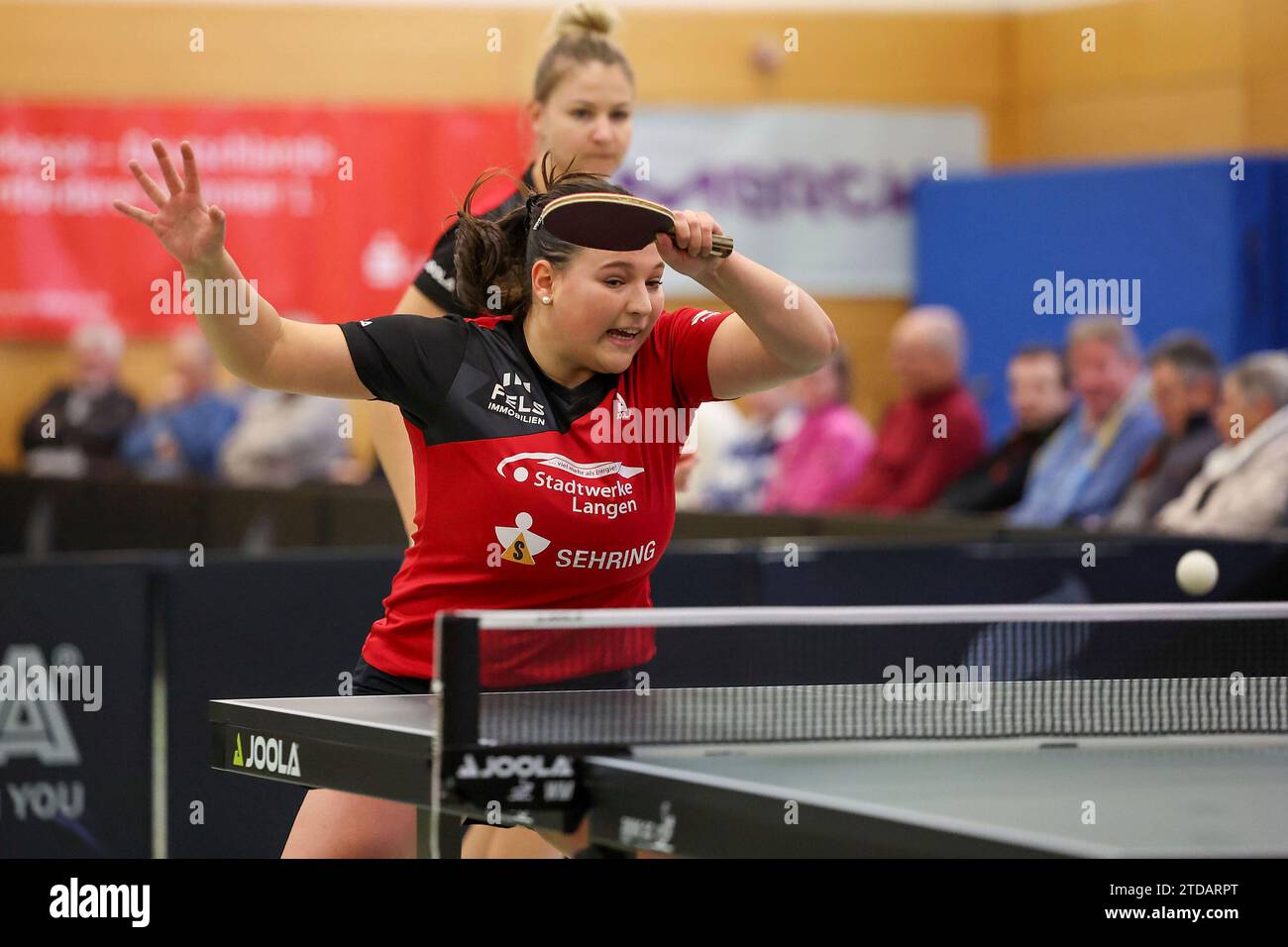 Langstadt, Deutschland. 17th Dec, 2023. Langstadt, Babenhausen 17.12. ...