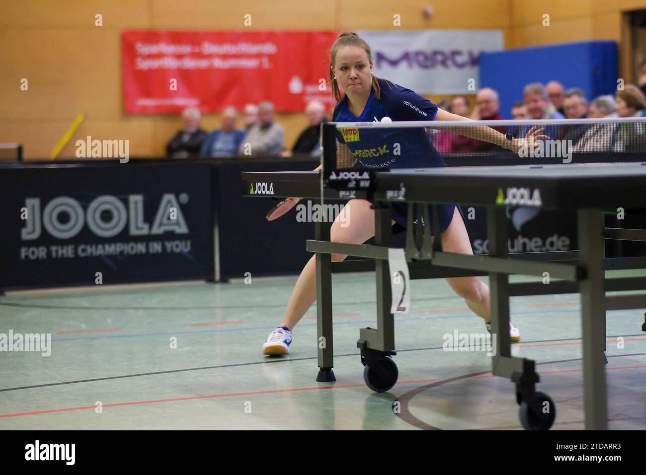 Langstadt, Deutschland. 17th Dec, 2023. Langstadt, Babenhausen 17.12. ...