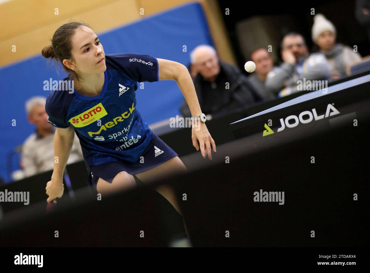 Langstadt, Deutschland. 17th Dec, 2023. Langstadt, Babenhausen 17.12. ...