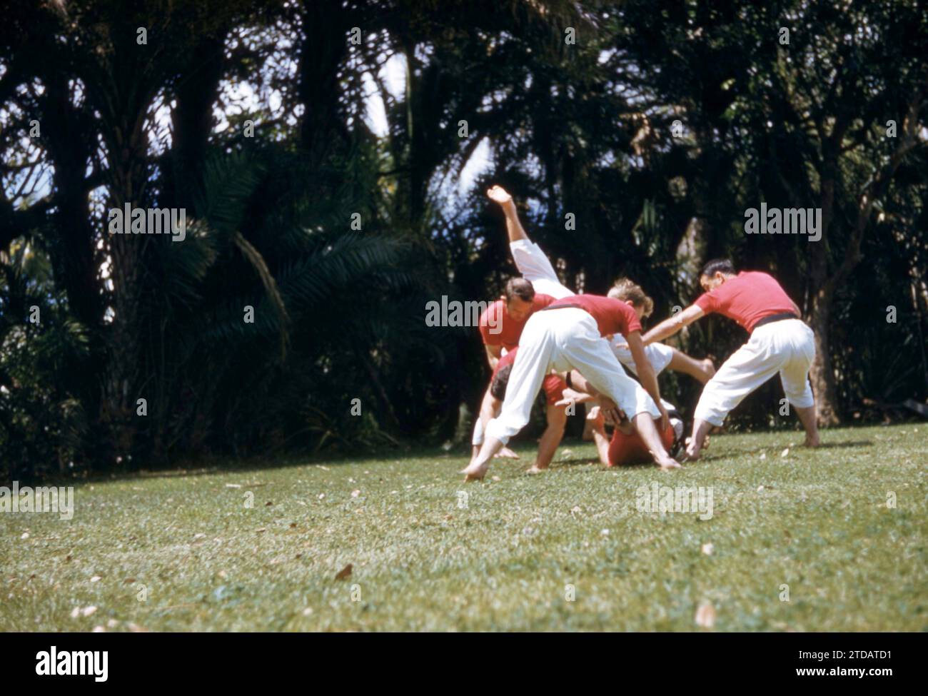1950'S: A group of men practice karate flipping moves circa 1950's ...
