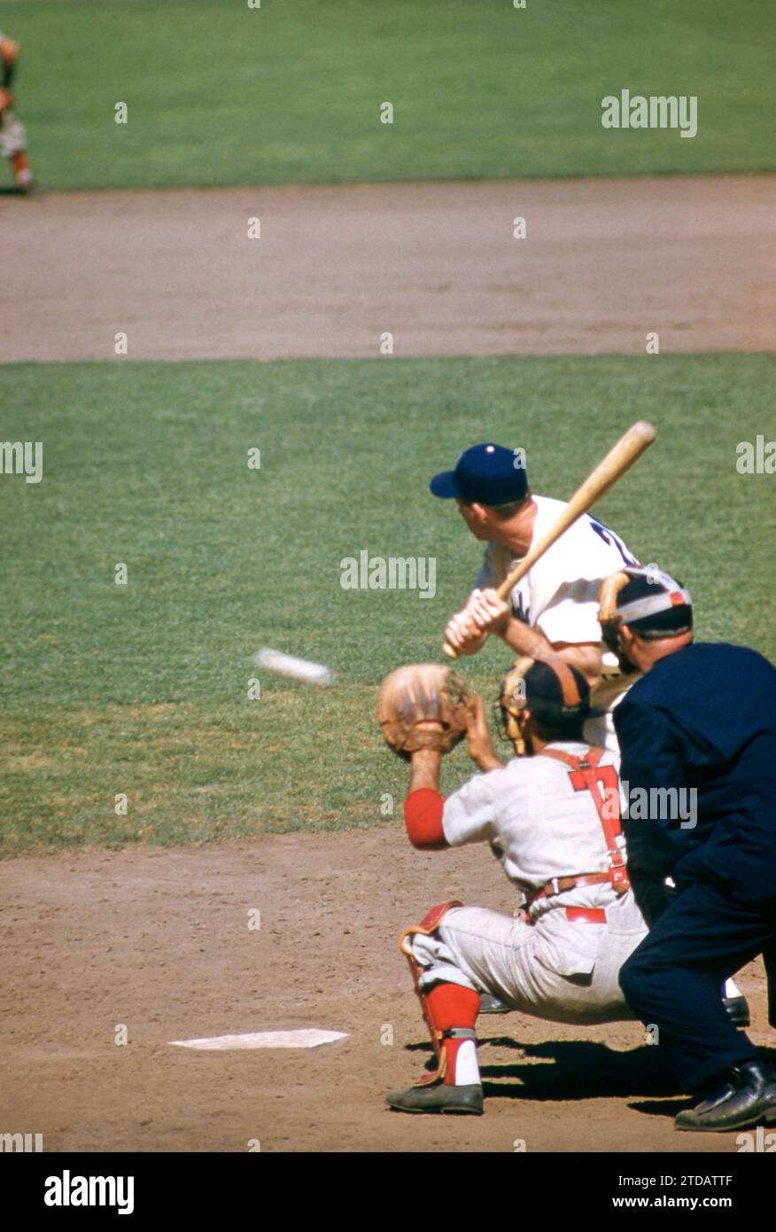 BROOKLYN, NY - JUNE, 1954: Don Thompson #29 of the Brooklyn Dodgers ...