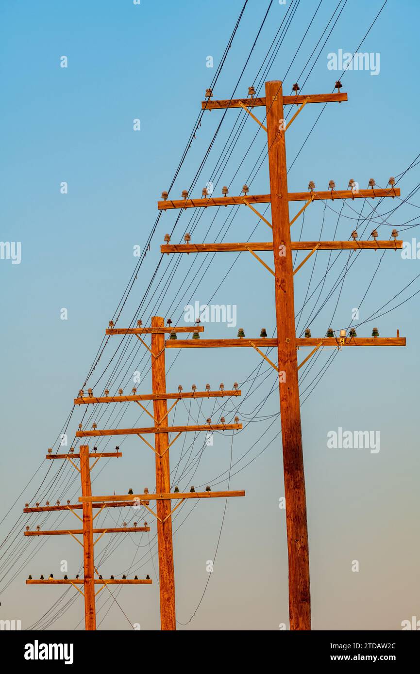 Wooden wood poles power lines hi-res stock photography and images - Alamy