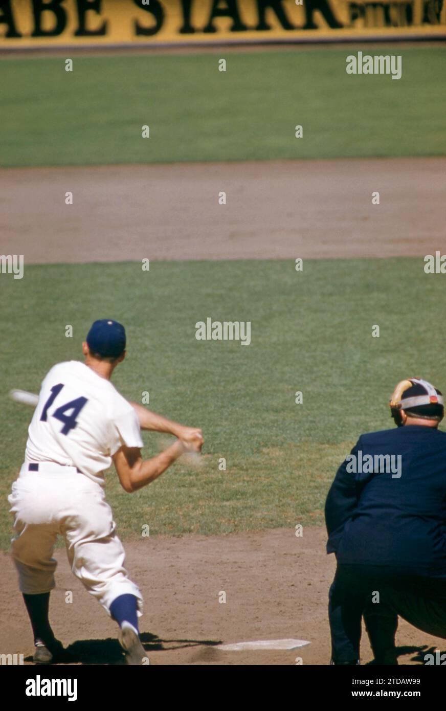 BROOKLYN, NY - JUNE, 1954: Gil Hodges #14 of the Brooklyn Dodgers ...