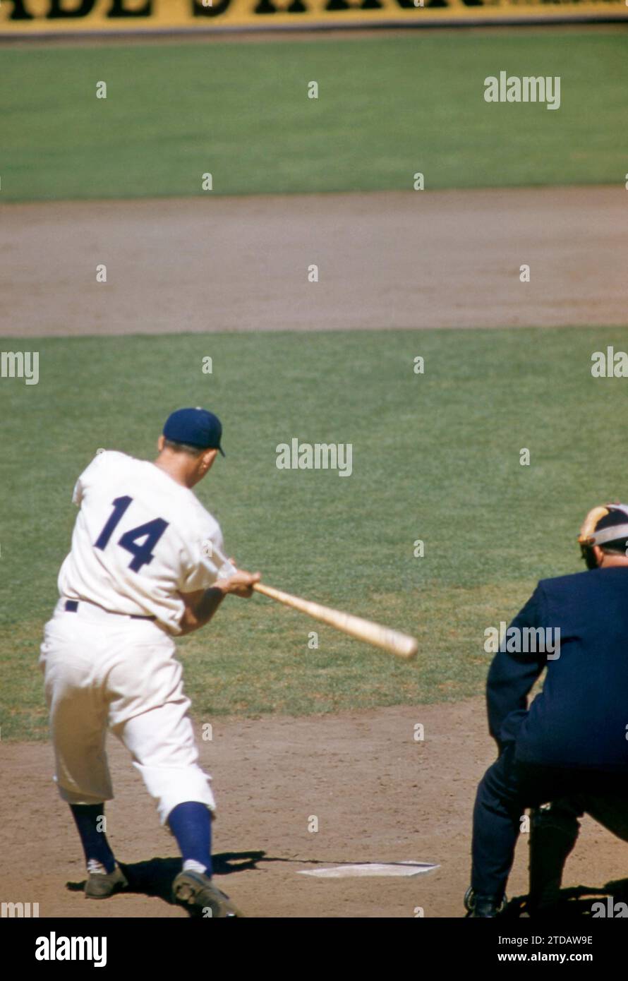 BROOKLYN, NY - JUNE, 1954: Gil Hodges #14 of the Brooklyn Dodgers ...