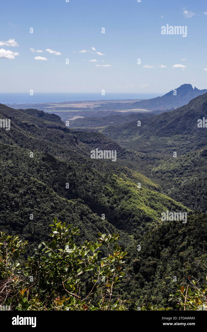 Hiking trails in black river gorges national park trails lead hi-res ...