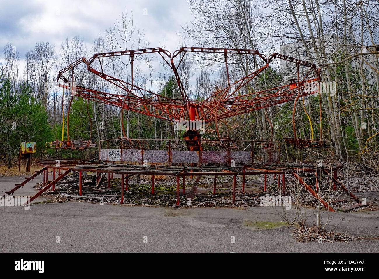 A rusted, abandoned carousel surrounded by overgrown trees and a ...