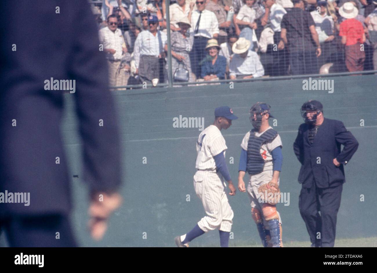 APRIL, 1962: Ernie Banks #14 of the Chicago Cubs walks past catcher ...