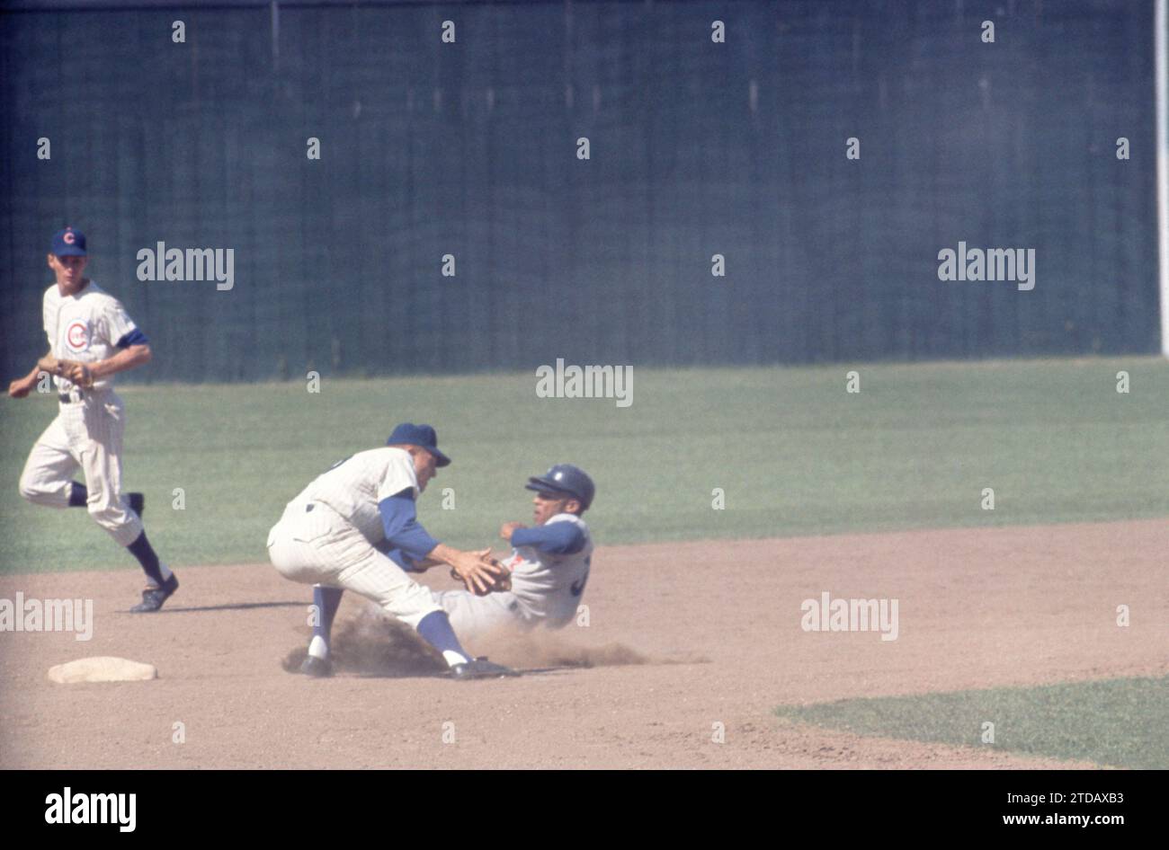 APRIL, 1962: Elder White #19 of the Chicago Cubs puts the tag on Willie ...