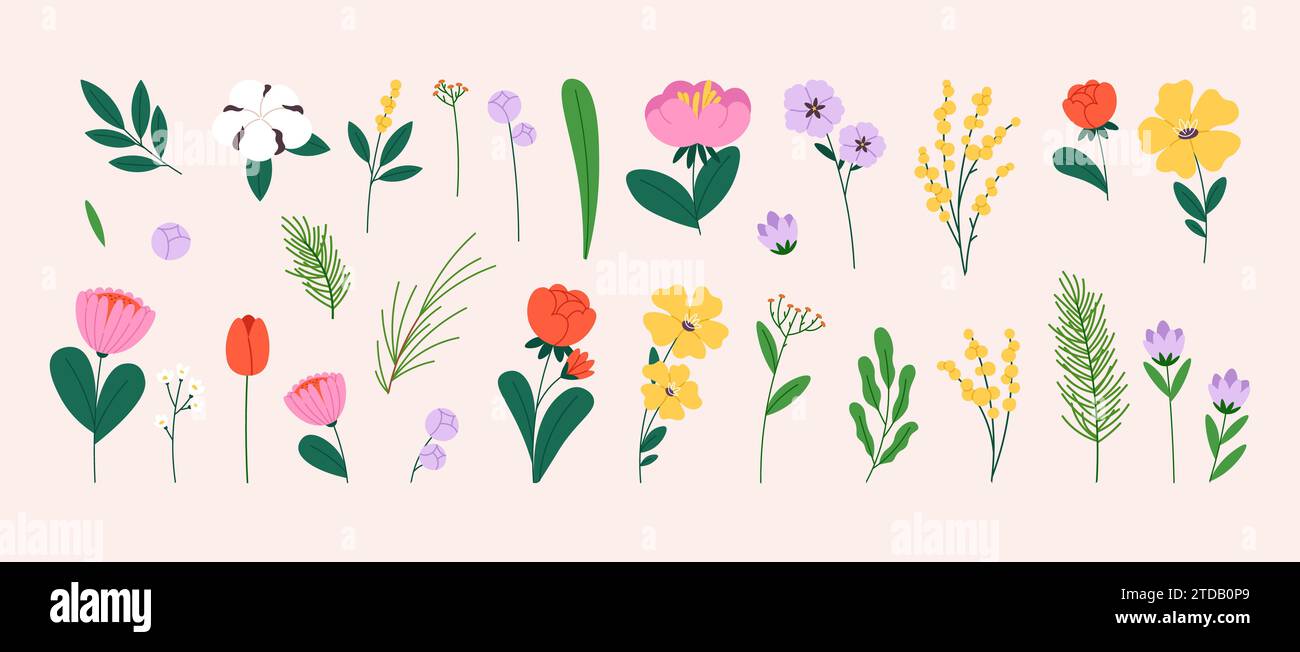 Spring blooming flowers. Isolated flower flat style, tulips and peony ...