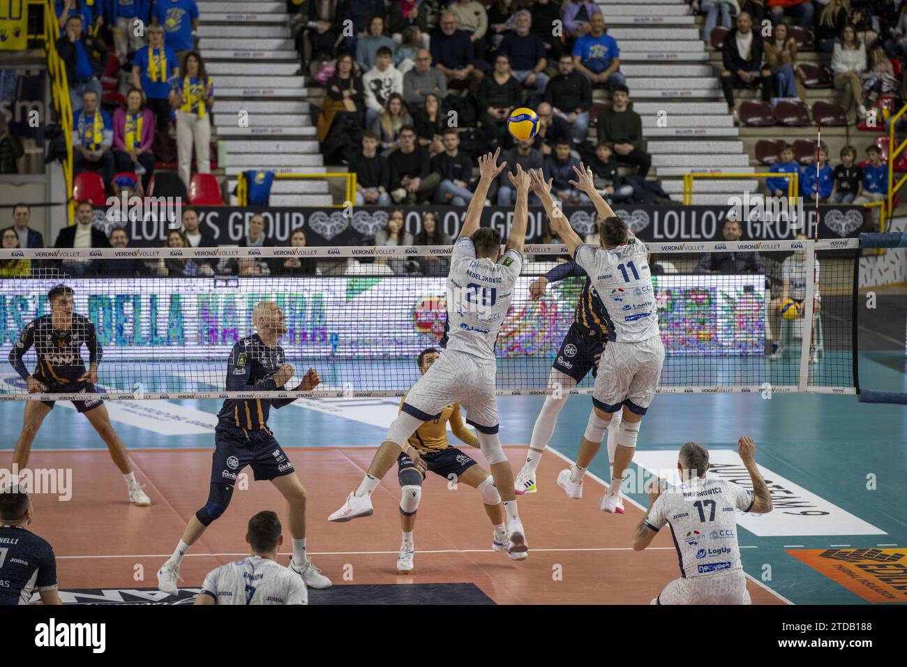 Verona, Italy. 17th Dec, 2023. Aleksandar Nedeljkovic (Cisterna Volley) and Theo Faure (Cisterna ...