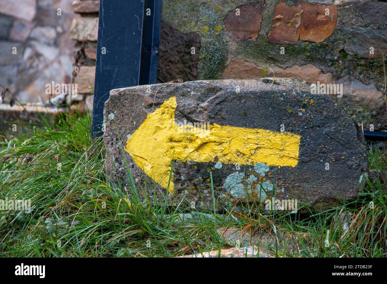 Yellow arrows that indicate the way to follow in the different stages ...