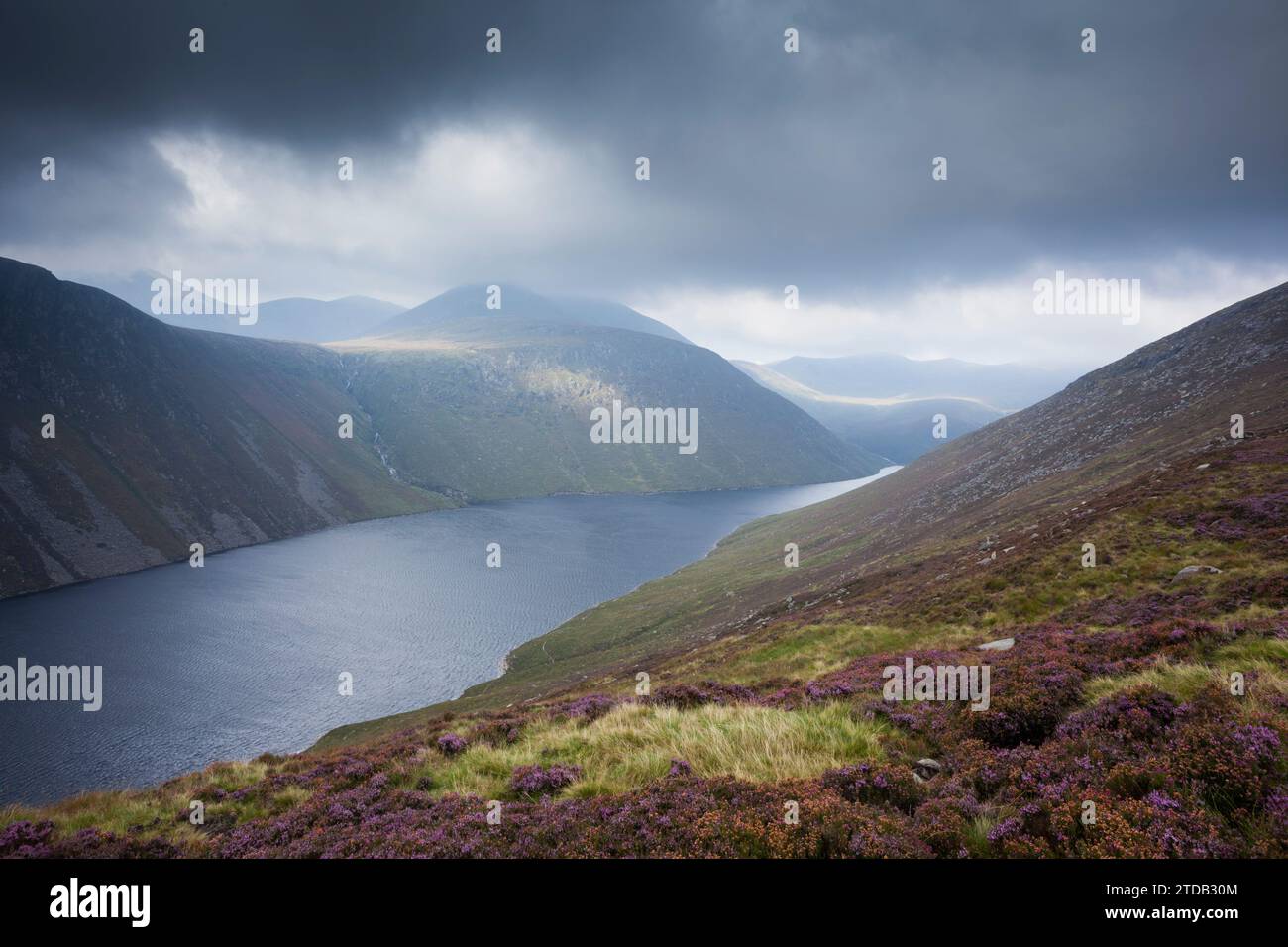 Ben Crom Reservoir in the Mourne Mountains. County Down, Northern ...