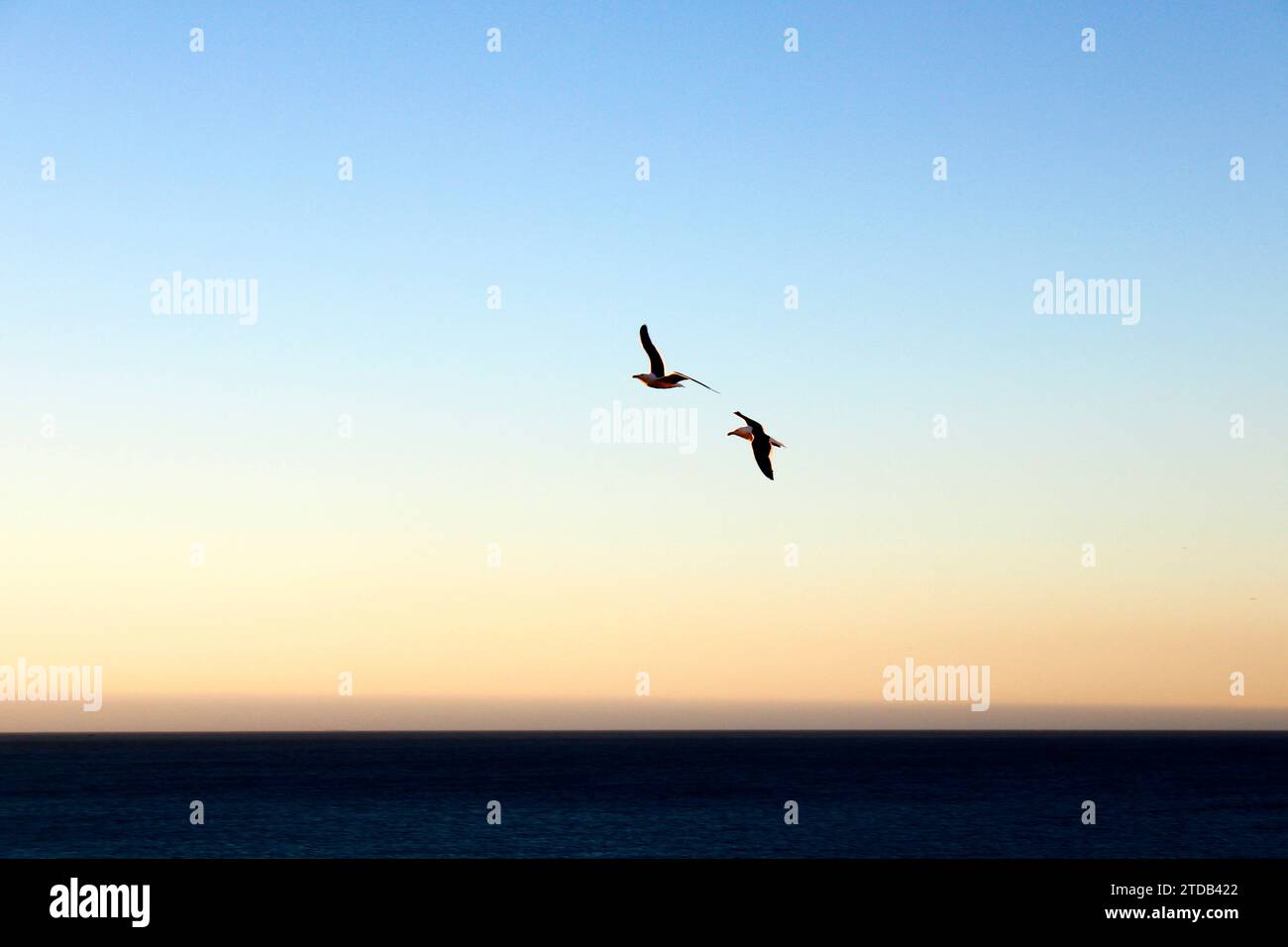 Flying over ocean breaking waves hi-res stock photography and images ...