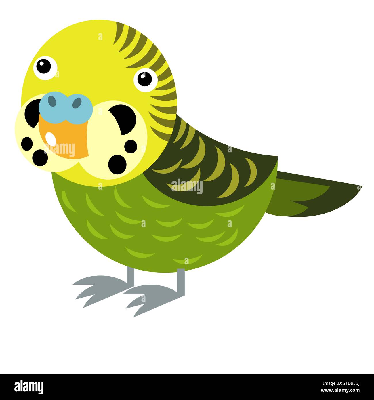 Cartoon australian animal bird parrot on white background illustration ...