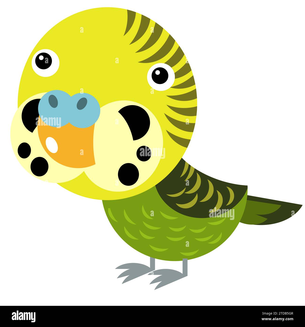 Cartoon australian animal bird parrot on white background illustration ...