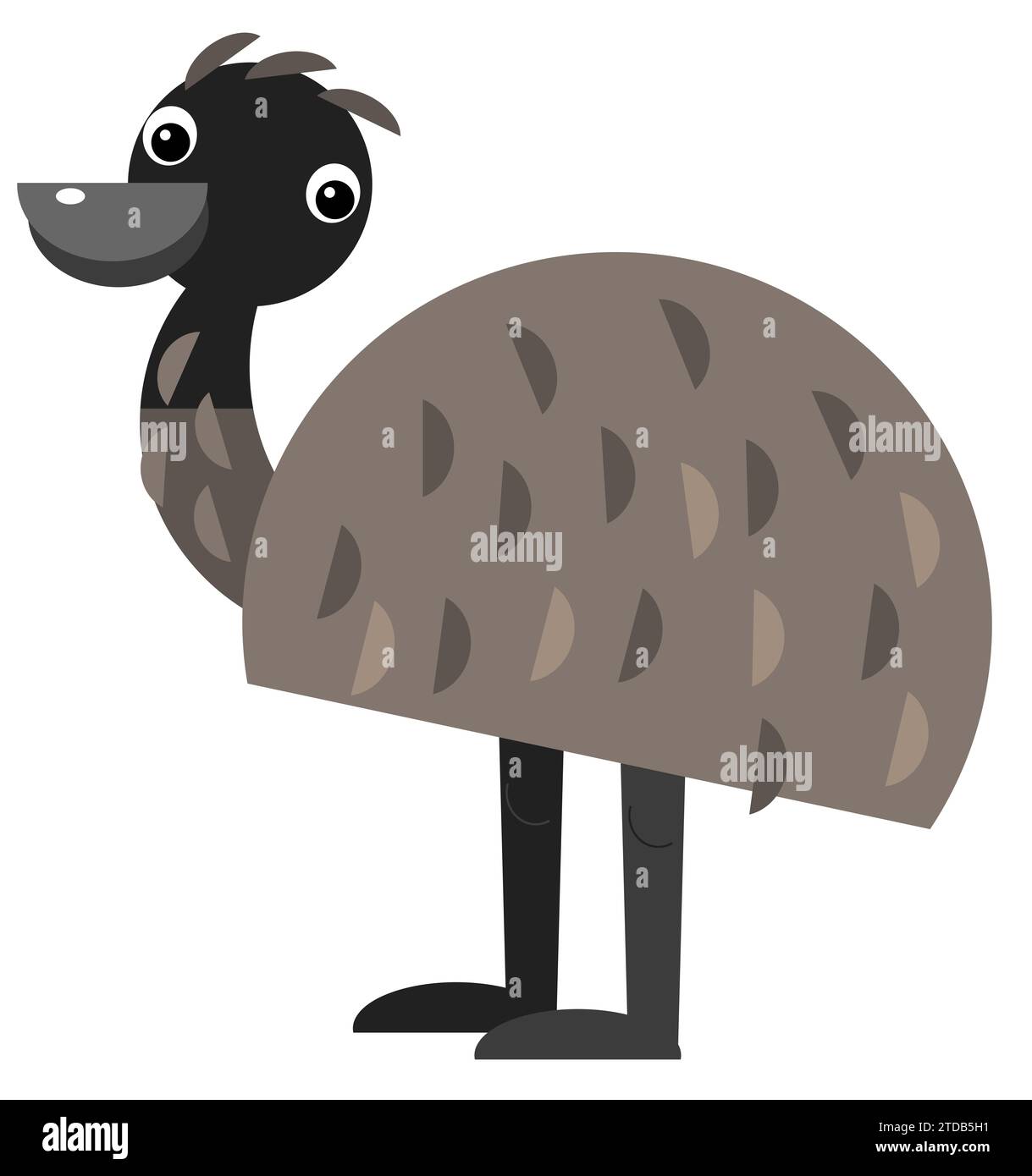 Cartoon australian animal emu on white background illustration for kids ...