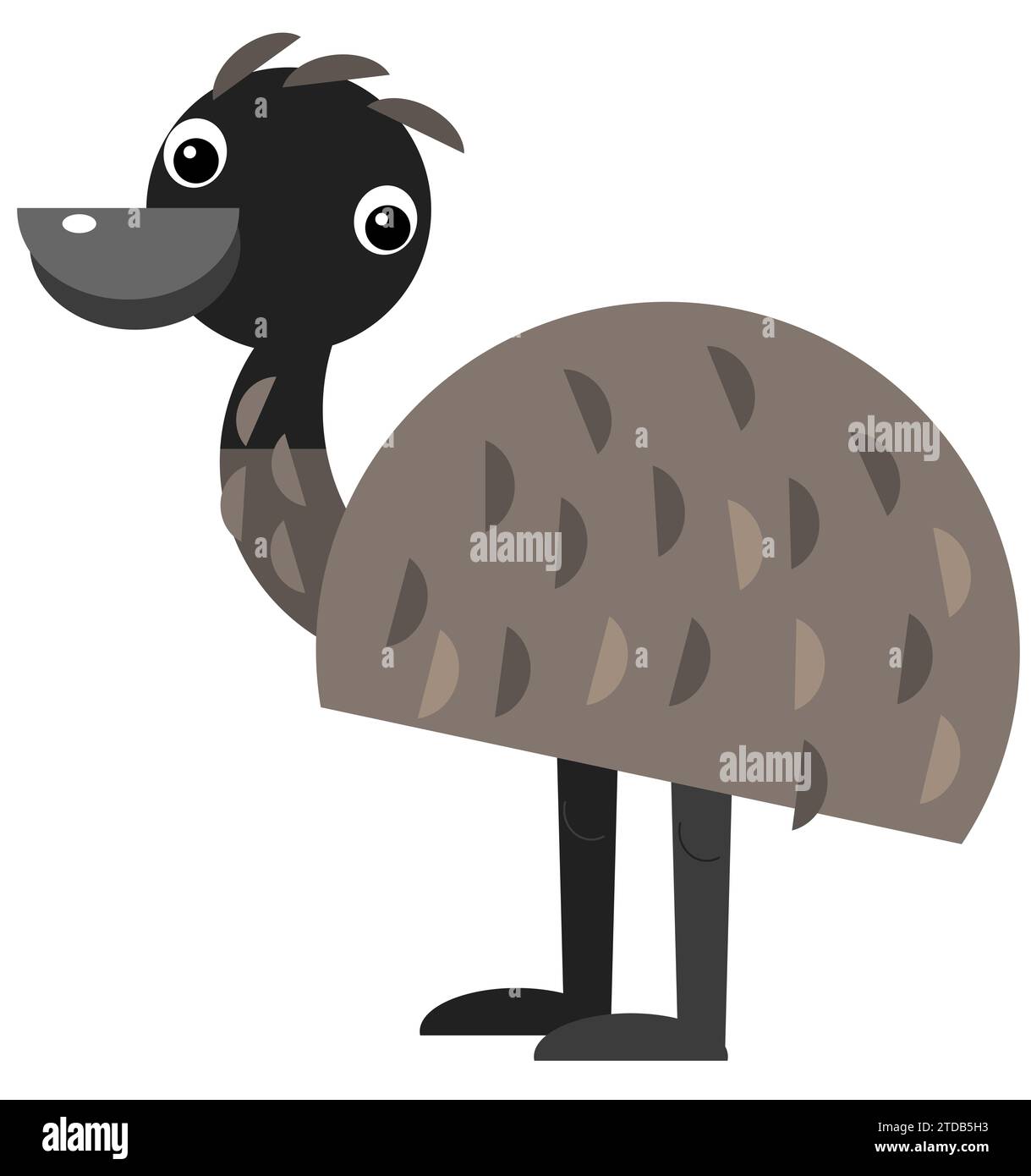 Cartoon australian animal emu on white background illustration for kids ...