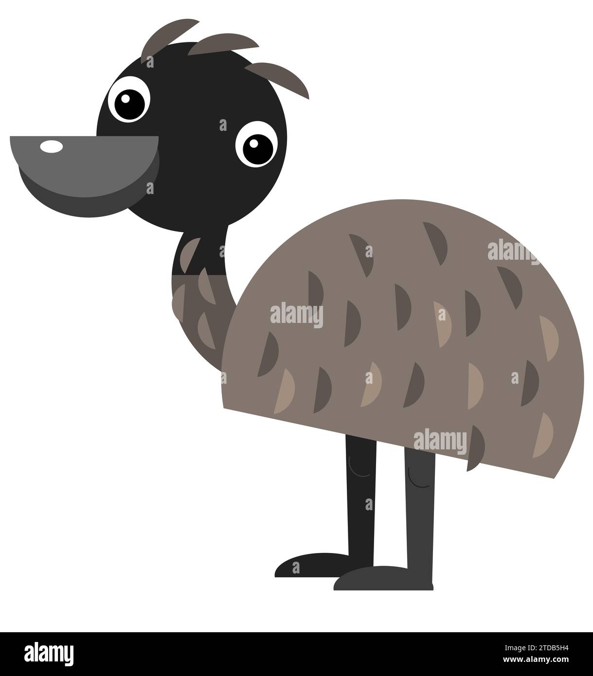 Cartoon australian animal emu on white background illustration for kids ...