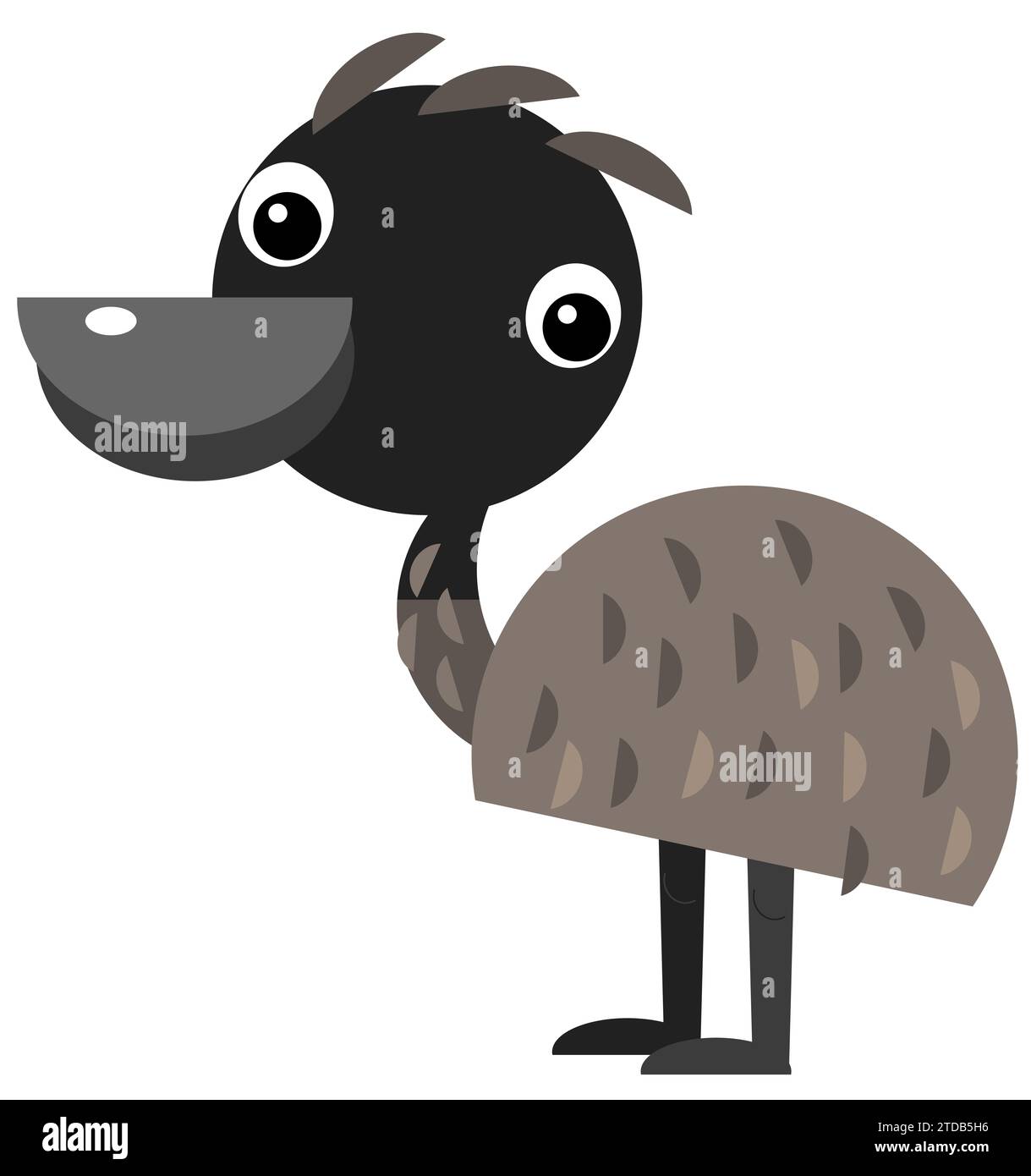 Cartoon australian animal emu on white background illustration for kids ...