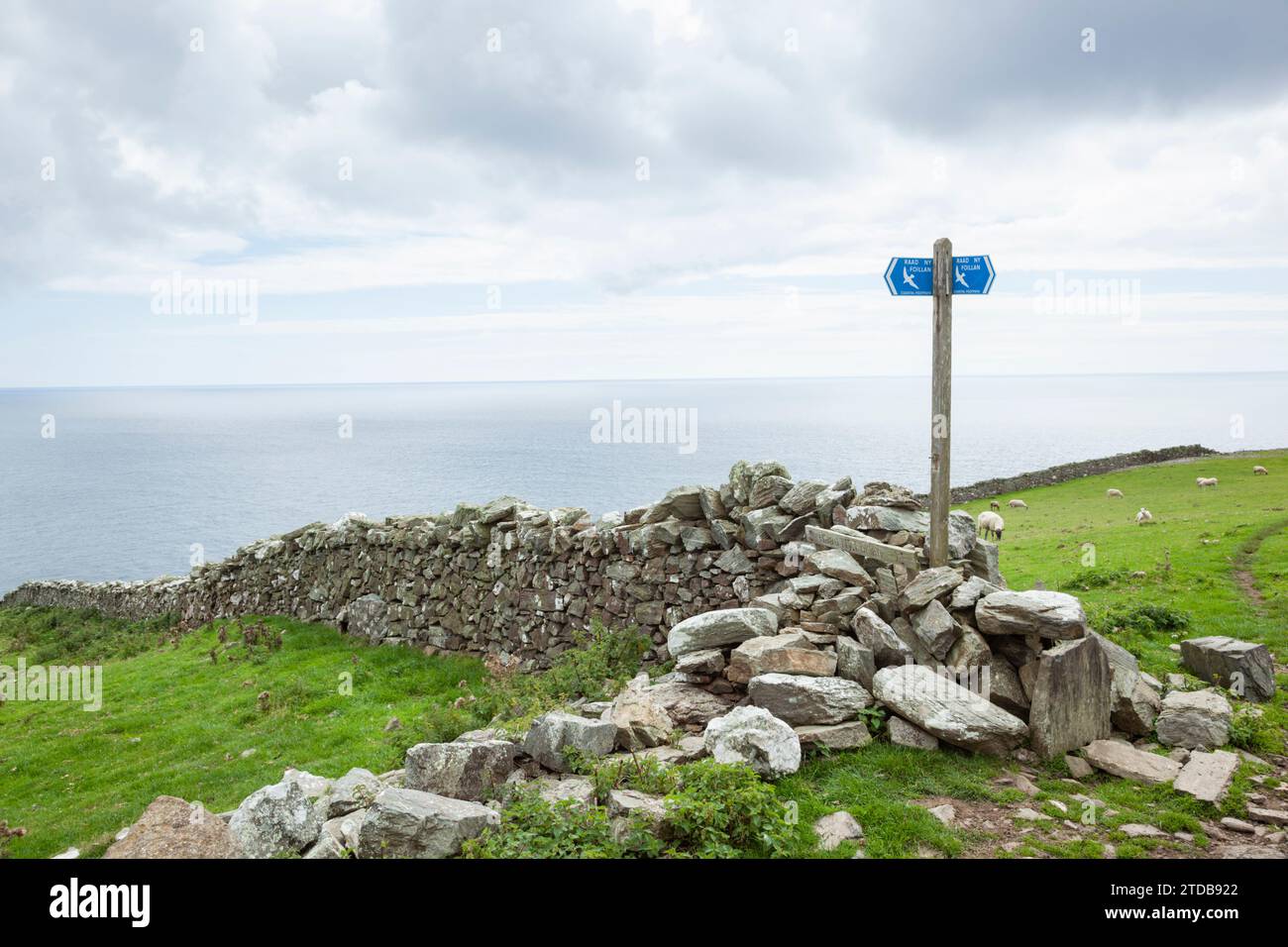 Footpath and dry stone walls. Isle of Man, UK Stock Photo - Alamy