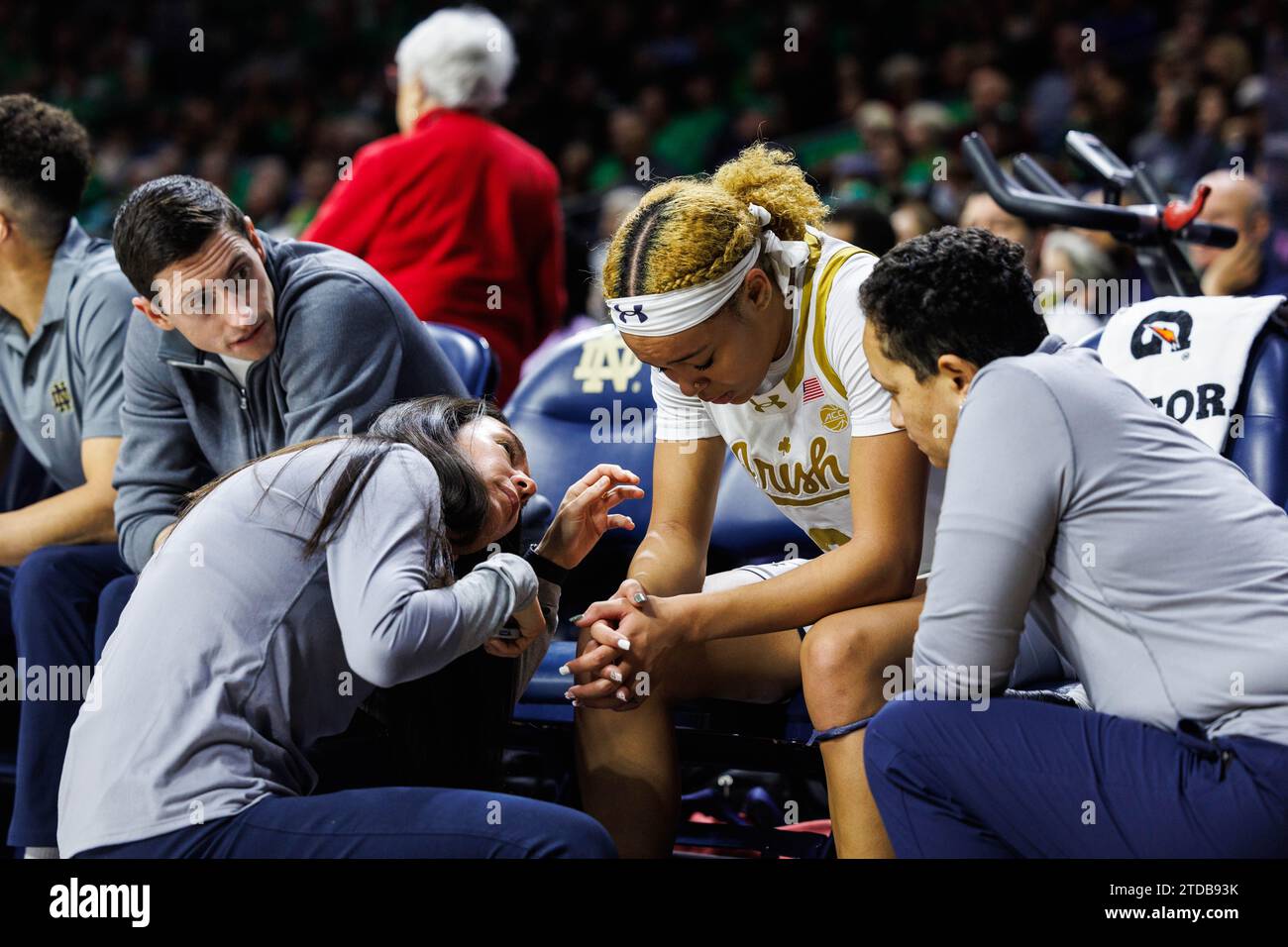 South Bend, Indiana, USA. 17th Dec, 2023. Notre Dame trainers examine Notre Dame guard Hannah ...