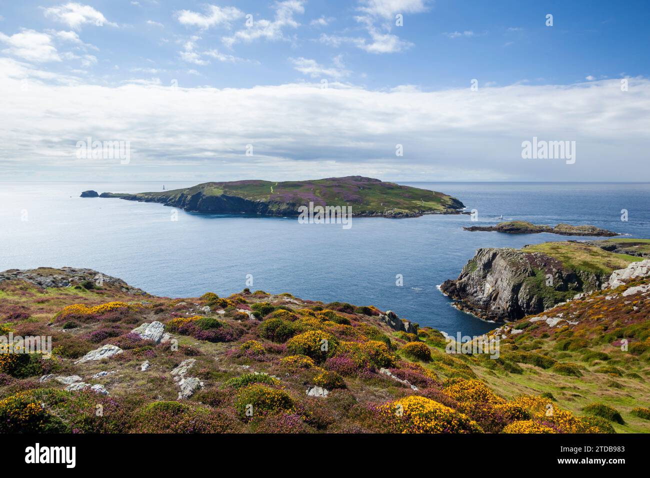 The Calf of Man. Isle of Man, UK Stock Photo - Alamy