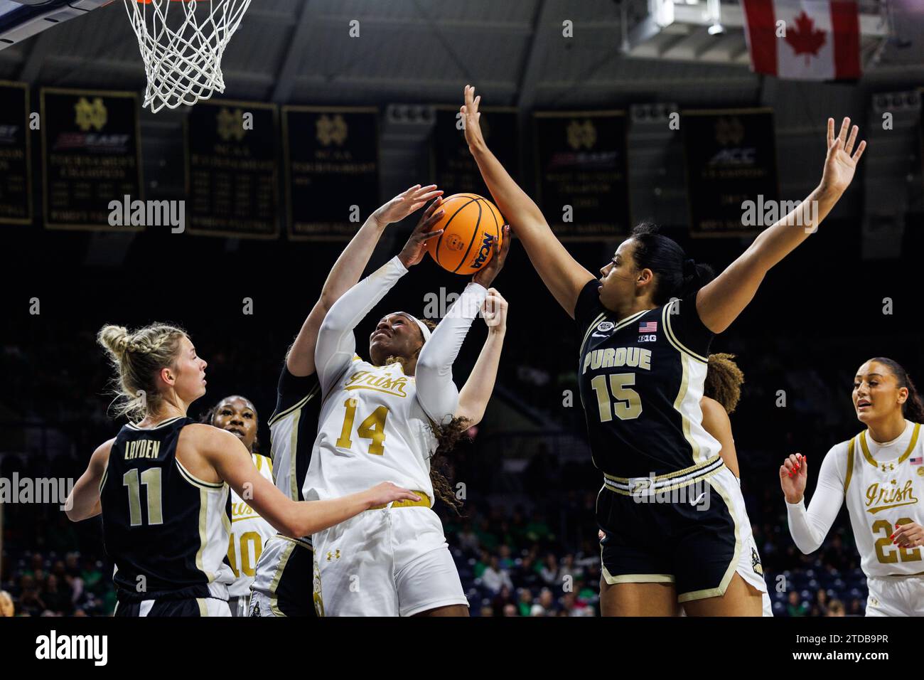 South Bend, Indiana, USA. 17th Dec, 2023. Notre Dame guard KK Bransford ...