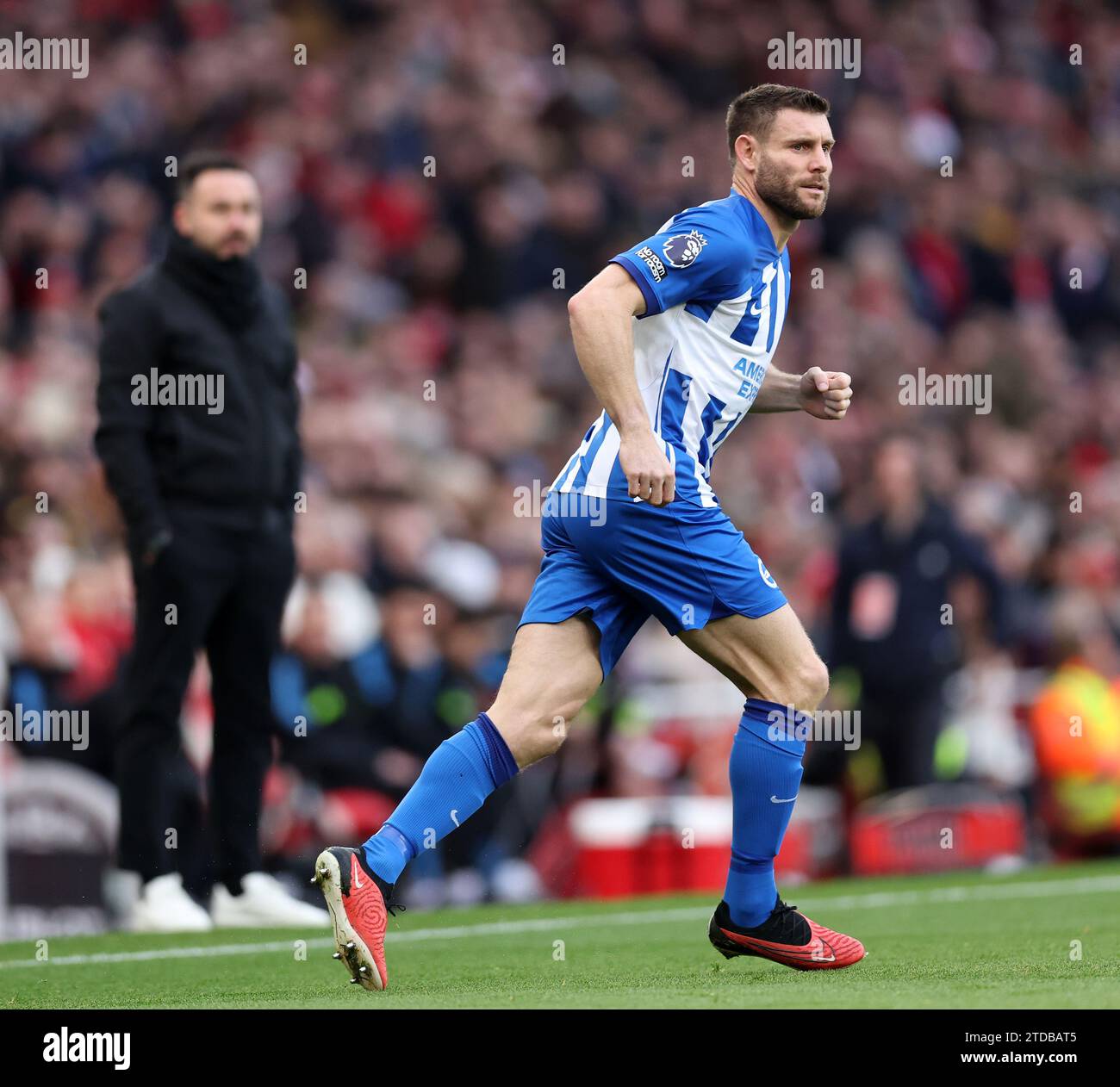 James milner brighton hi-res stock photography and images - Alamy