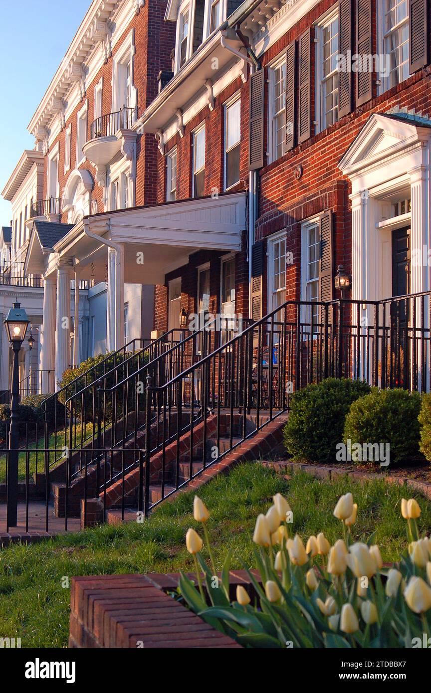 Tulips grow on a spring day in the historic Monument Drive community of ...