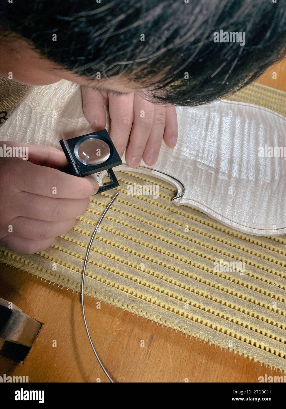 violinmaker performing purfling to new raw violin top plate using loupe ...
