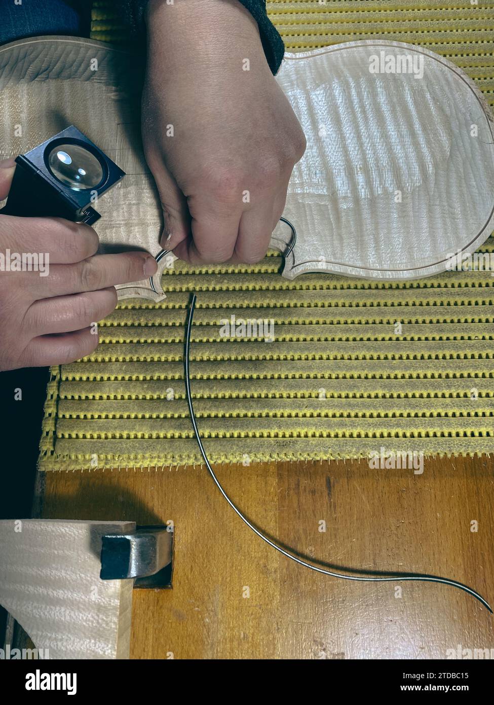 violinmaker performing purfling to new raw violin top plate using loupe ...