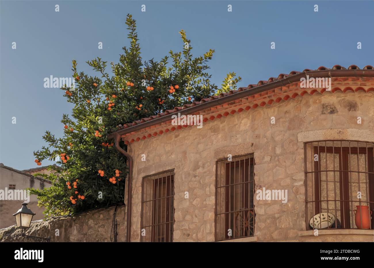 A curved spanish building with an orange treeandbars at the windows ...