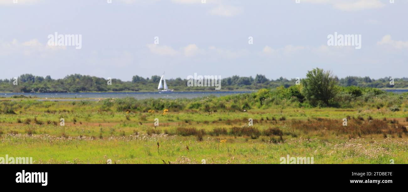 A natural landscape on the North Sea coast in the Netherlands Stock ...