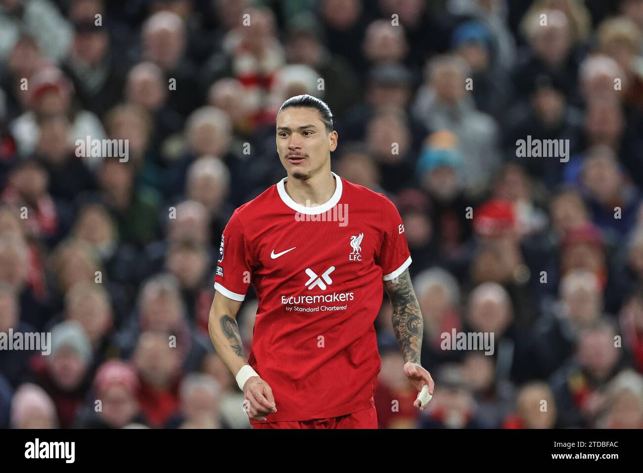 Darwin nunez portrait hi-res stock photography and images - Alamy