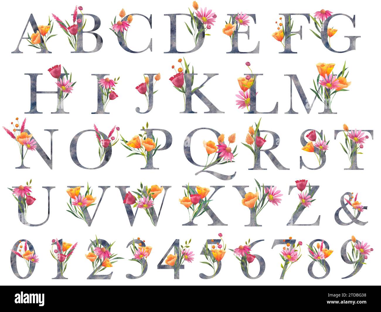 Letters and numbers with watercolor wildflowers. Floral alphabet ...