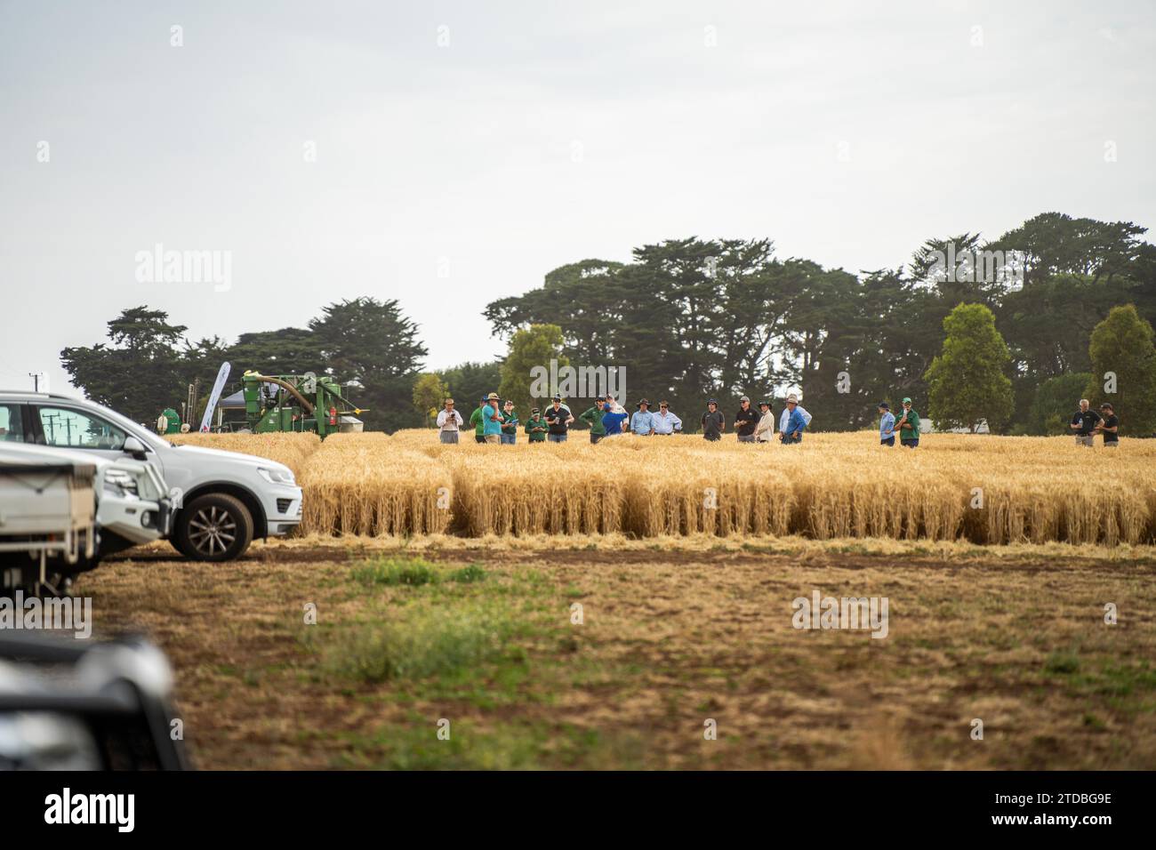 group of farmers doing a crop walk learning about crop health and ...