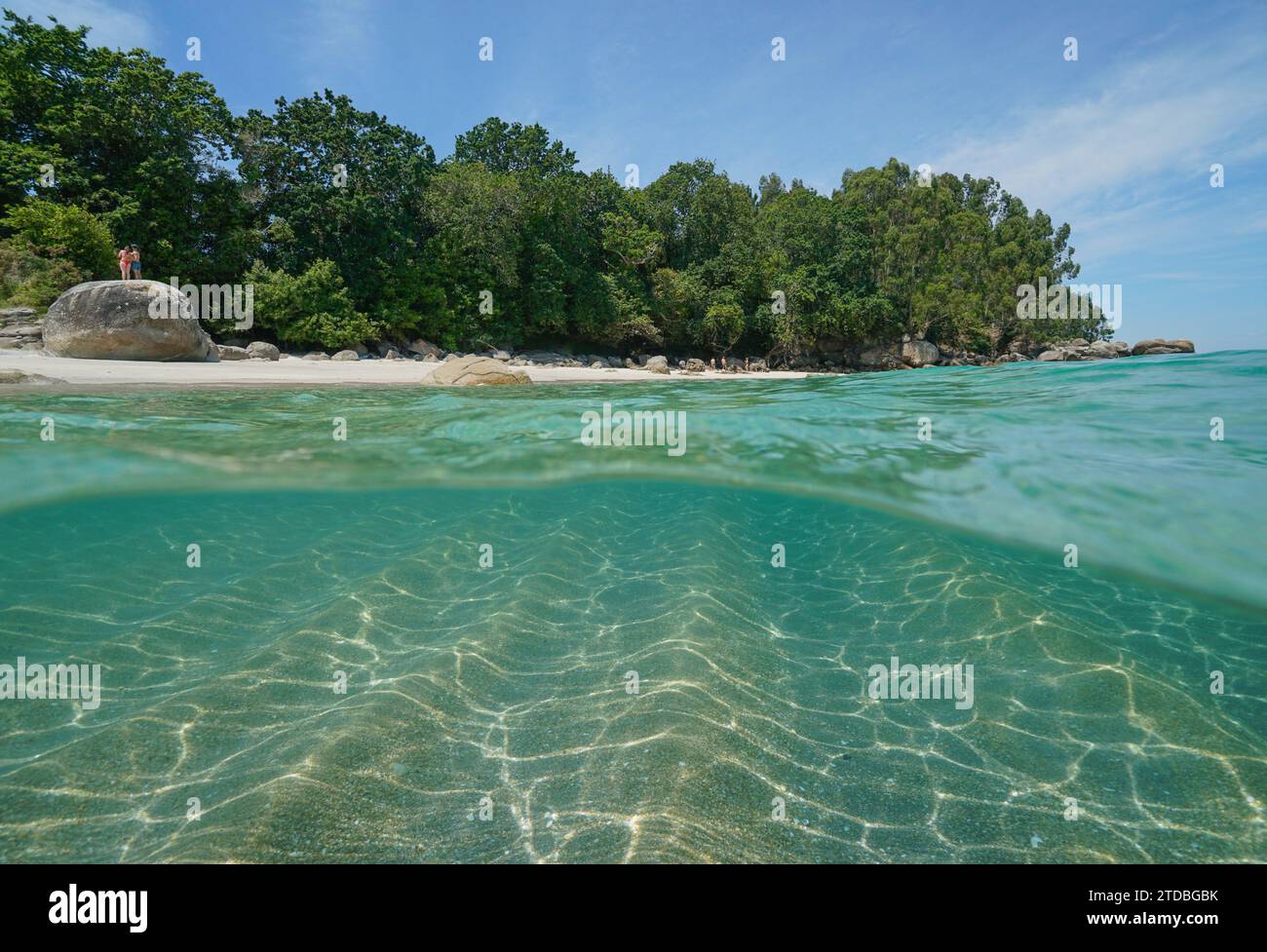 Boulder and trees on the beach with sand underwater, Atlantic coast of ...