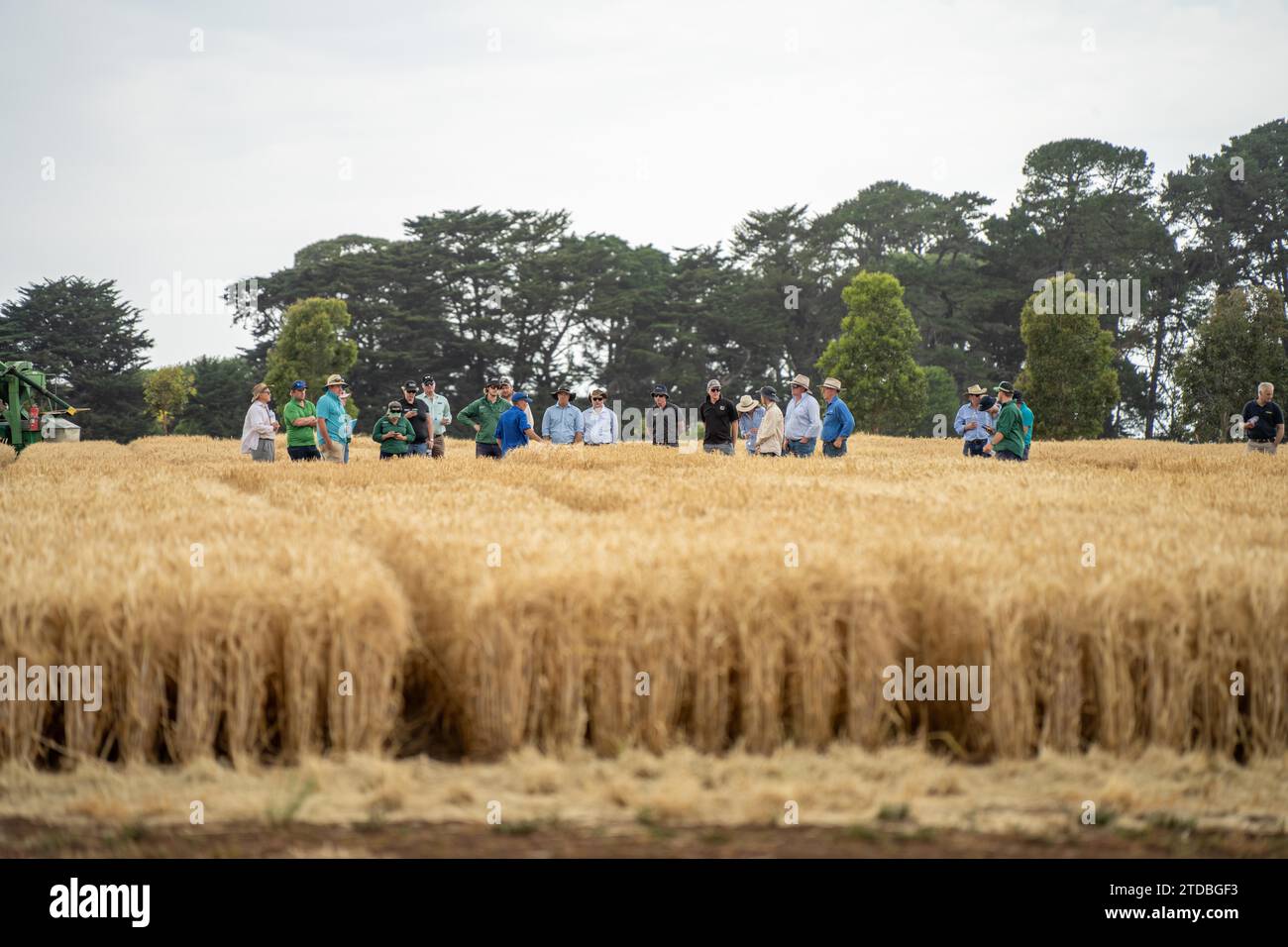 Group of growers horticulture hi-res stock photography and images - Alamy