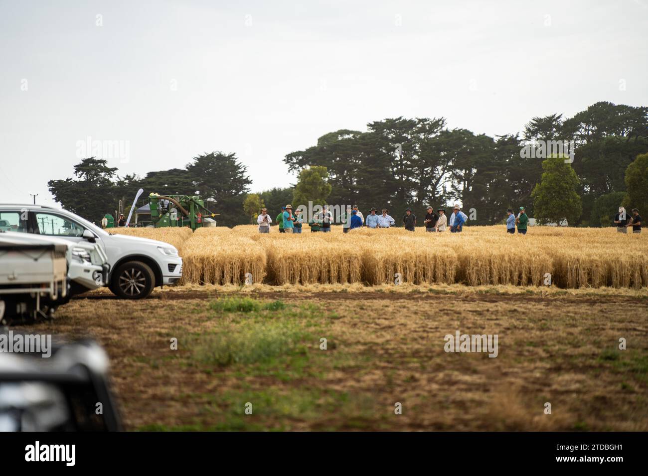 agricultural students in a field learning about crop farming Stock ...