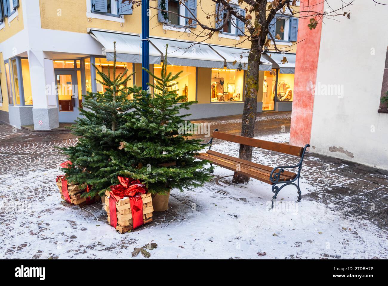 Christmas tree near an empty wooden bech along a snowy cobblestone ...